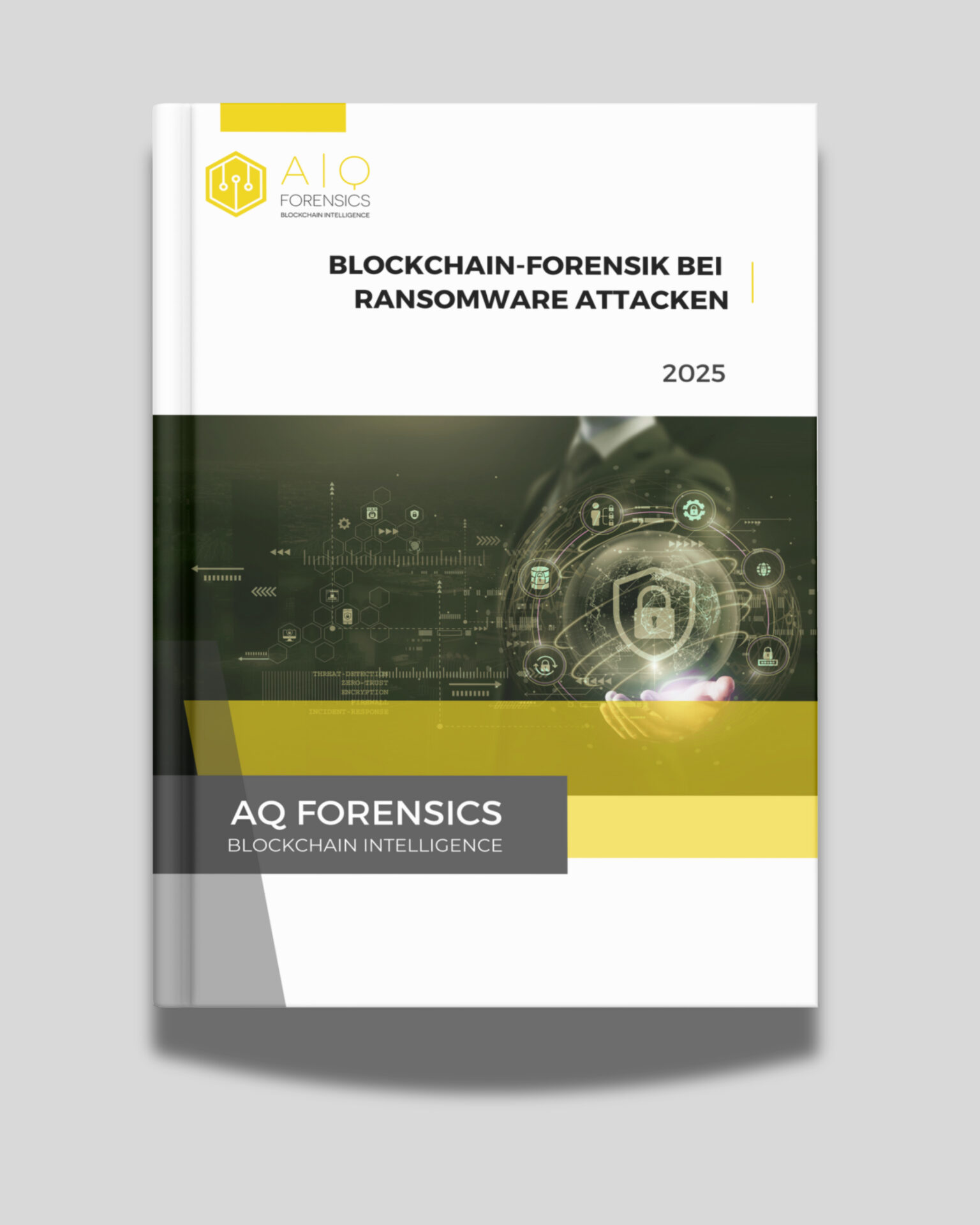 Support in Ransomware Attacks - AQ Forensics